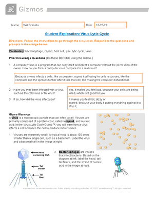 Plants Assignment: Lab Investigation on Structure & Function (06 03) - Studocu