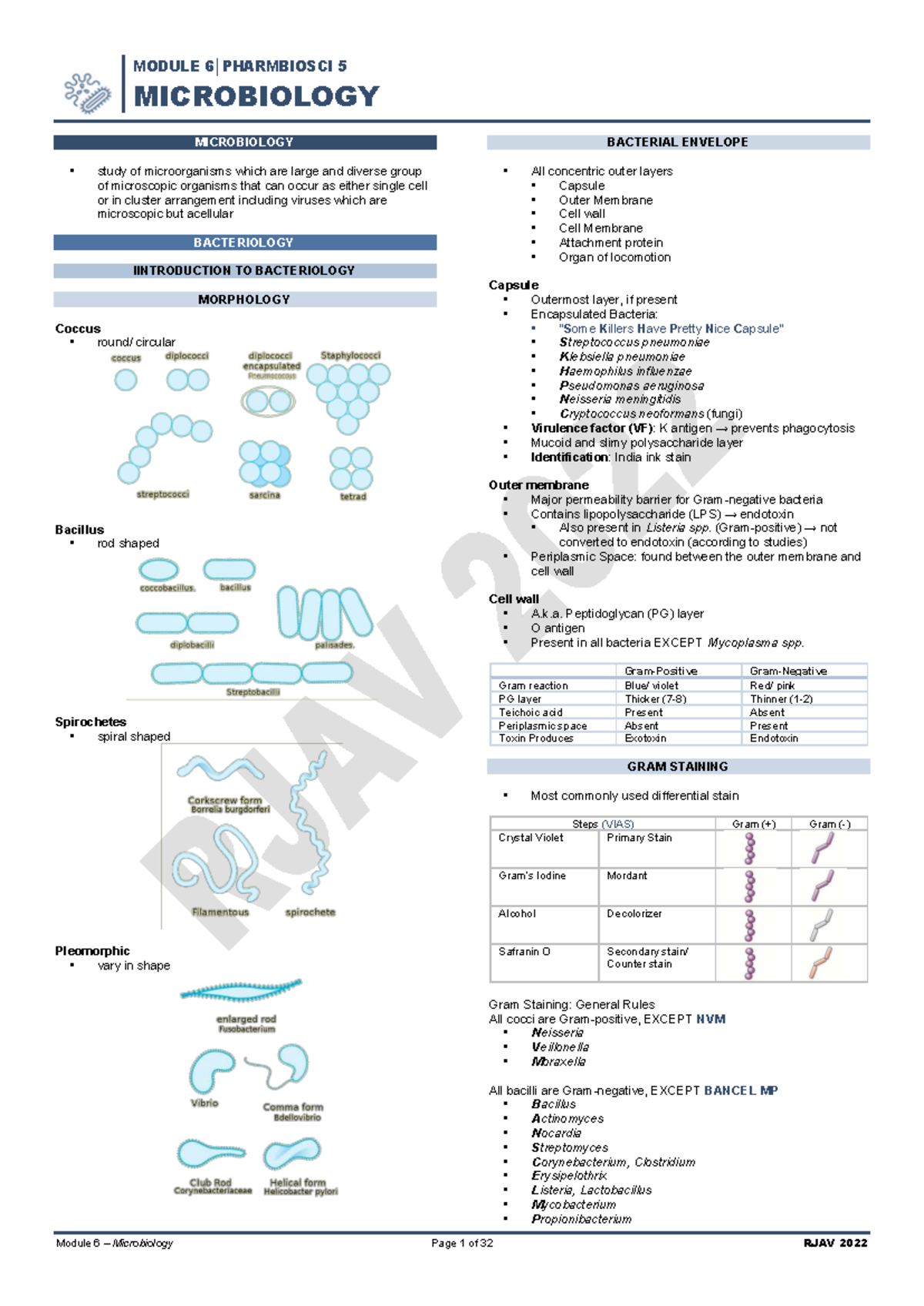 MODULE 6.1 MICROBIOLOGY: BACTERIAL ENVELOPE AND PATHOGENS STUDY GUIDE ...