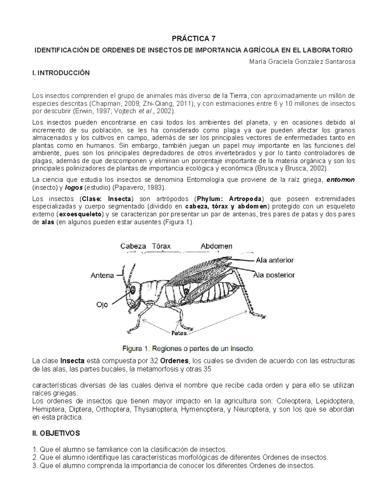 Práctica 7 - Identificación de Órdenes de Insectos en Fisica 2 - Studocu