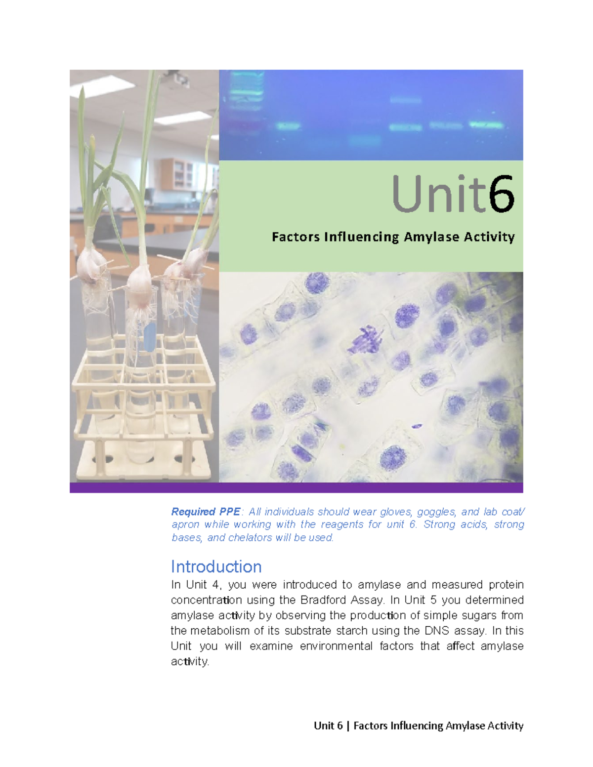 BIOL 1406 Lab Manual: Unit 6 - Factors Influencing Amylase Activity ...
