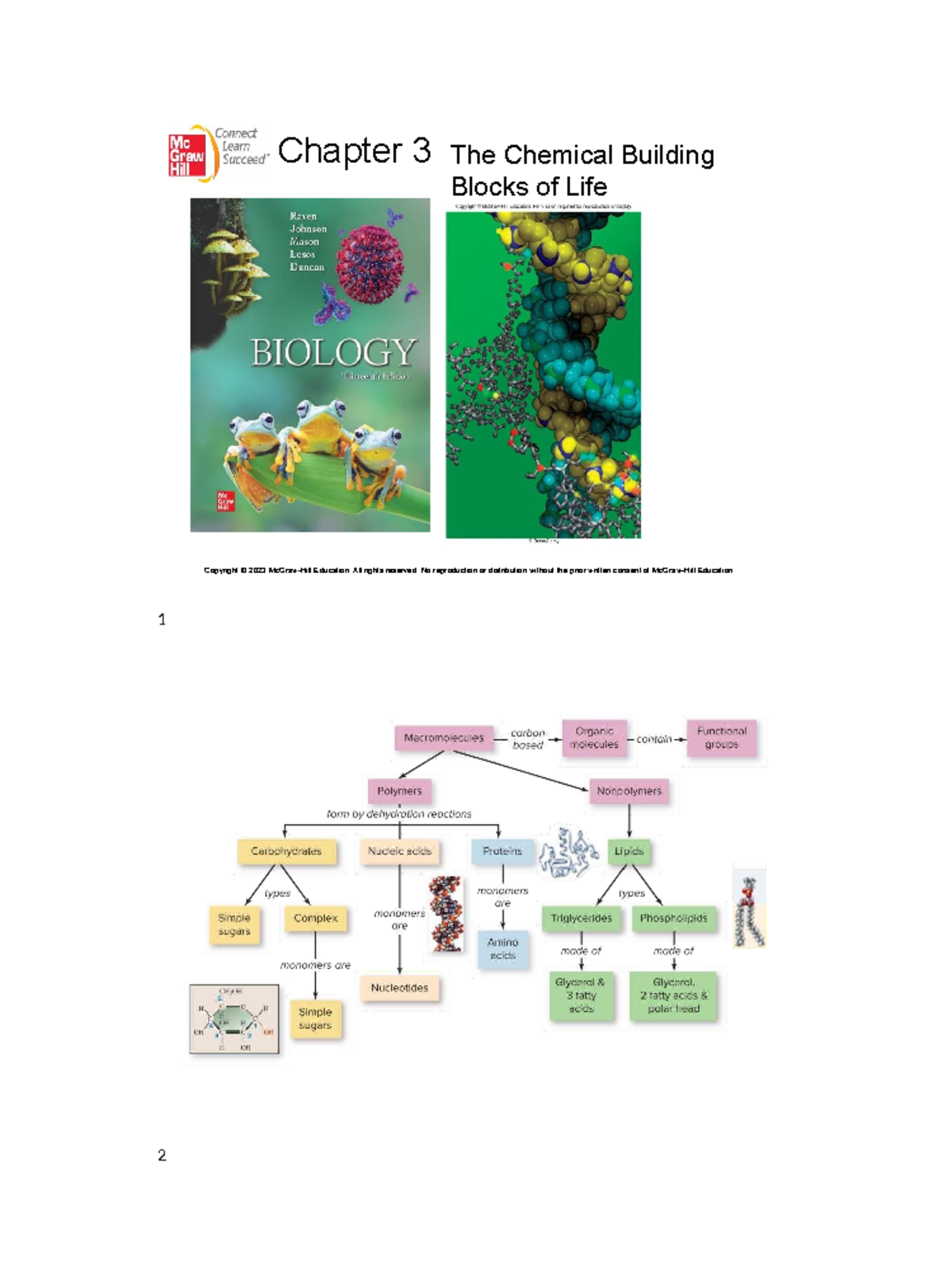 Modern Biochemistry: Chapter 3 - Chemical Building Blocks of Life - Studocu