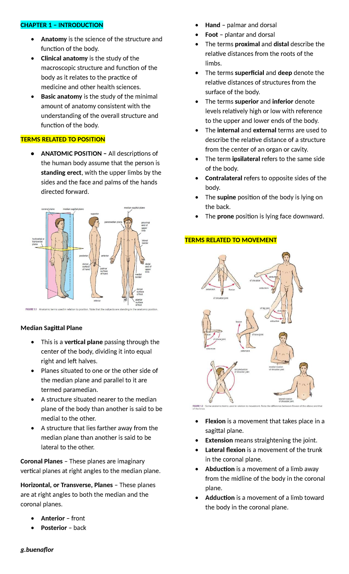 Chapter 1 - Introduction to Anatomy and Clinical Concepts (SCSCVDS ...