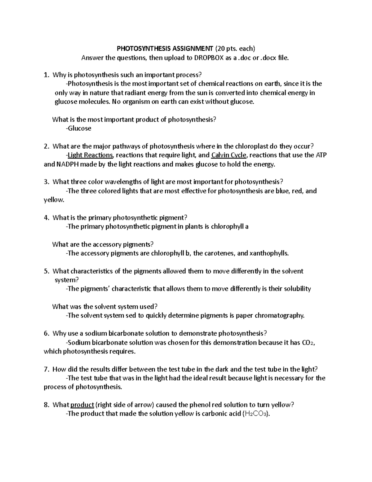 Photosynthesis Assignment (BIO 121L) - PHOTOSYNTHESIS ASSIGNMENT (20 ...