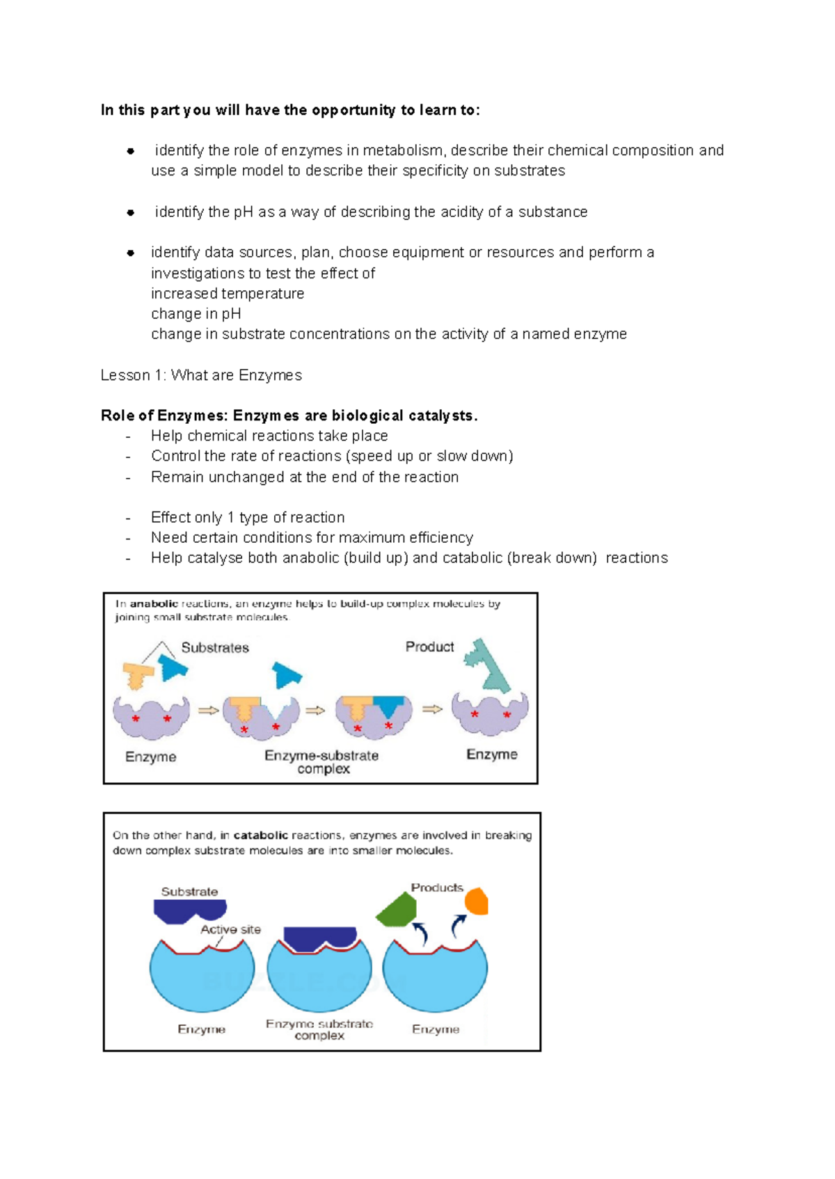 Enzyme Study Notes: Role, Models & Environmental Effects on Activity ...