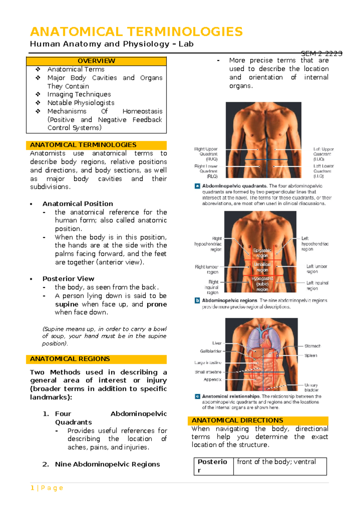 Anatomical Terminologies - LAB - SEM 2 2223 ANATOMICAL TERMINOLOGIES ...