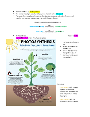 Majorana 1 Quantum Computer Report: A New Era in Quantum Tech - Studocu