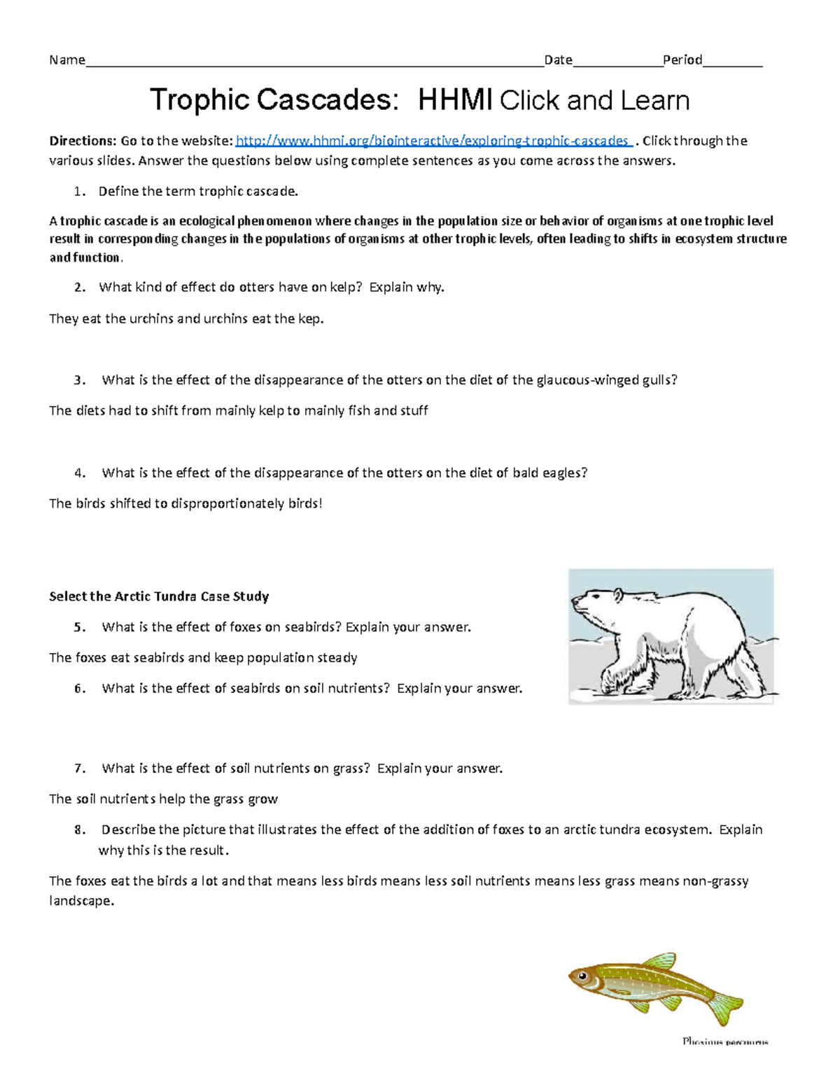 Trophic Cascades Exploration: HHMI Click & Learn Activity - Studocu