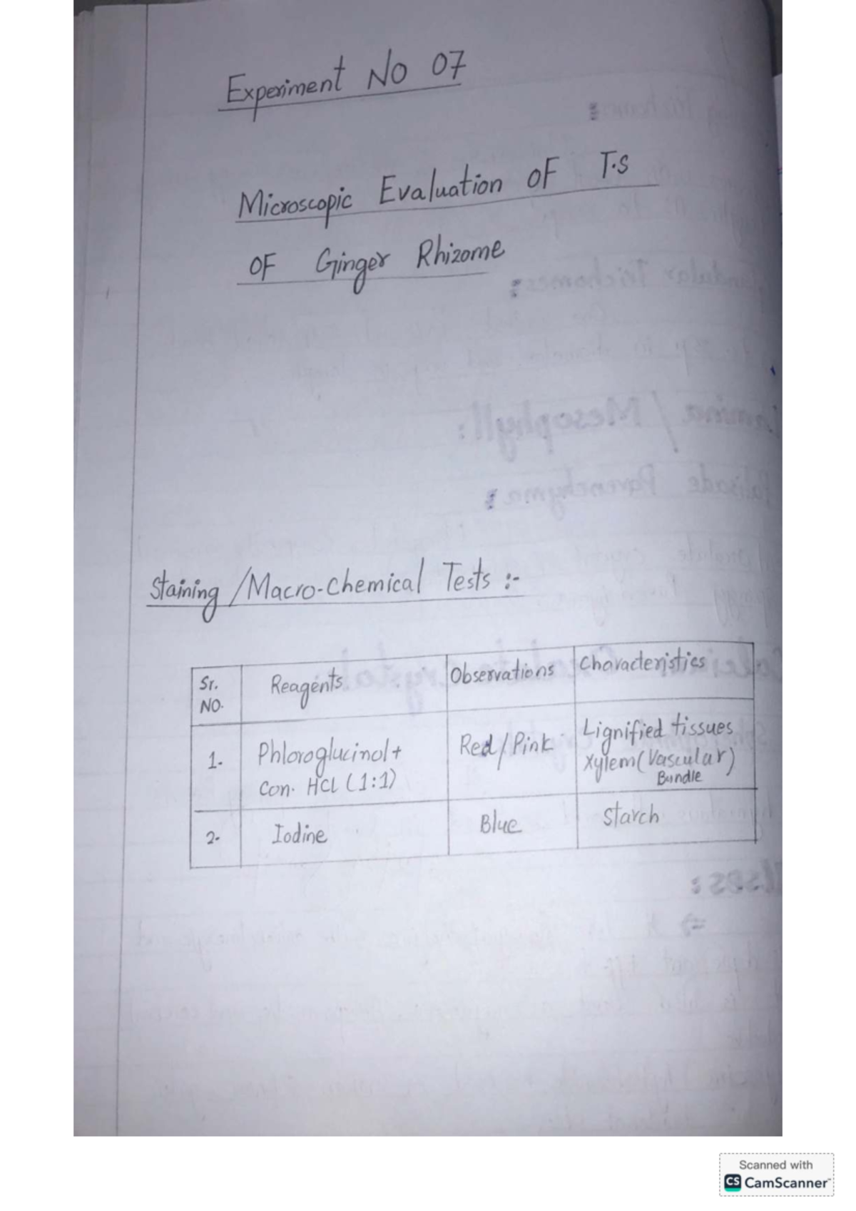 Pharmacognosy Practical #07: Study Notes and Observations - Studocu