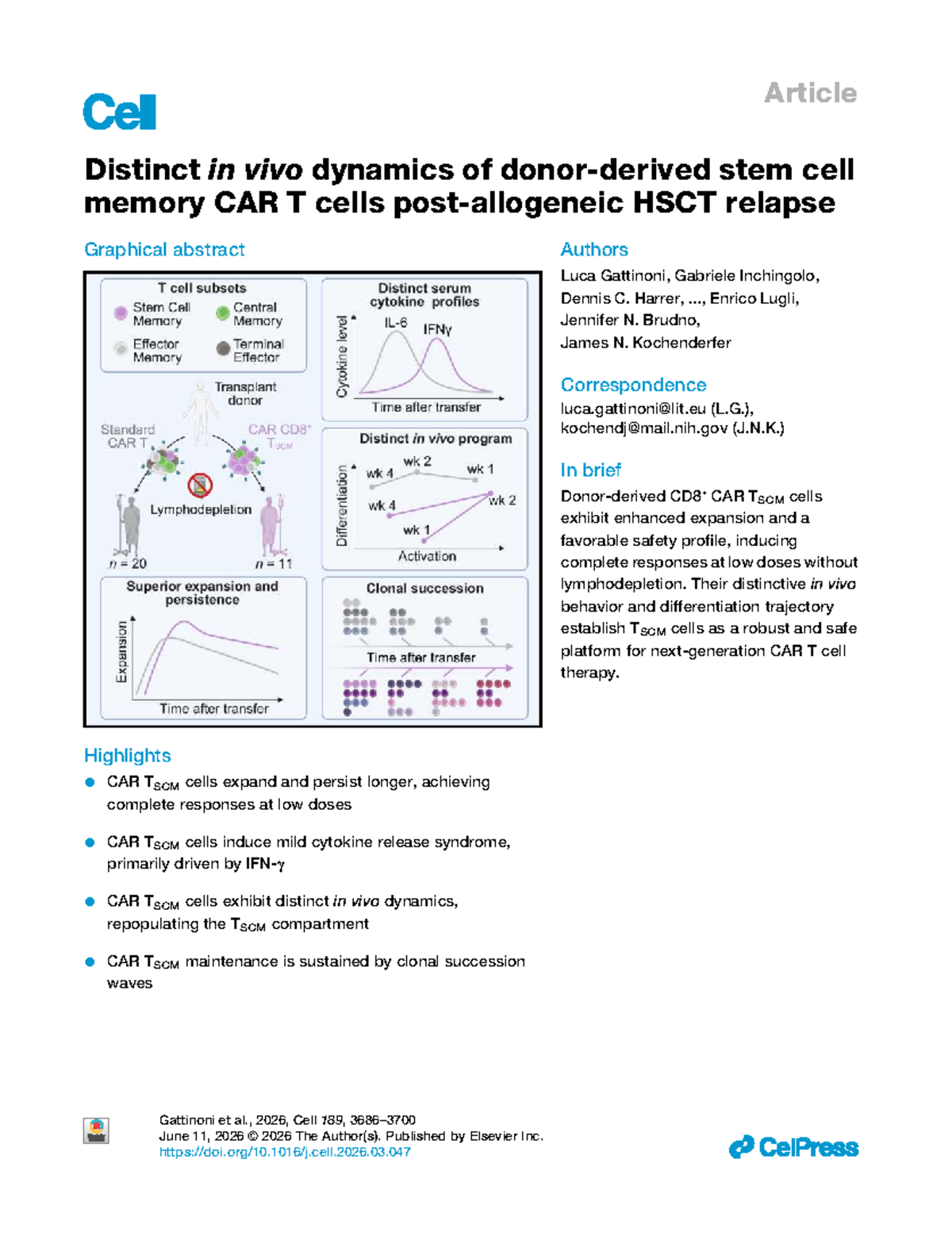 Distinct In Vivo Dynamics of Stem Cell Memory CAR T Cells in HSCT ...