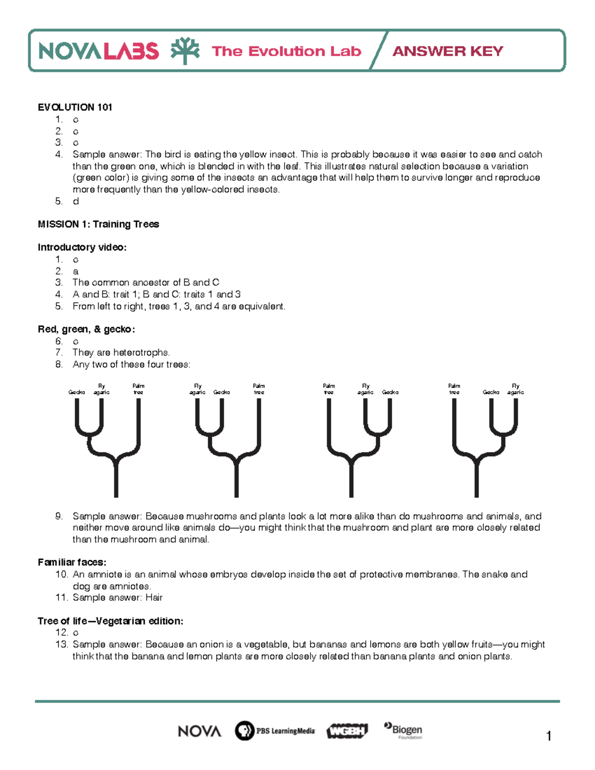 NOVA Evolution Lab Worksheets Answer Key - Studocu