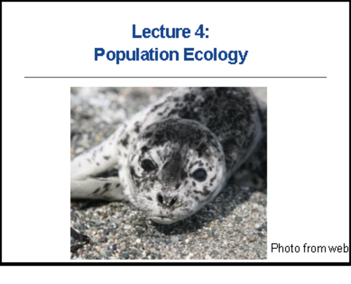 Lecture 4: Population Ecology & Growth Models (Bio 101) - Studocu