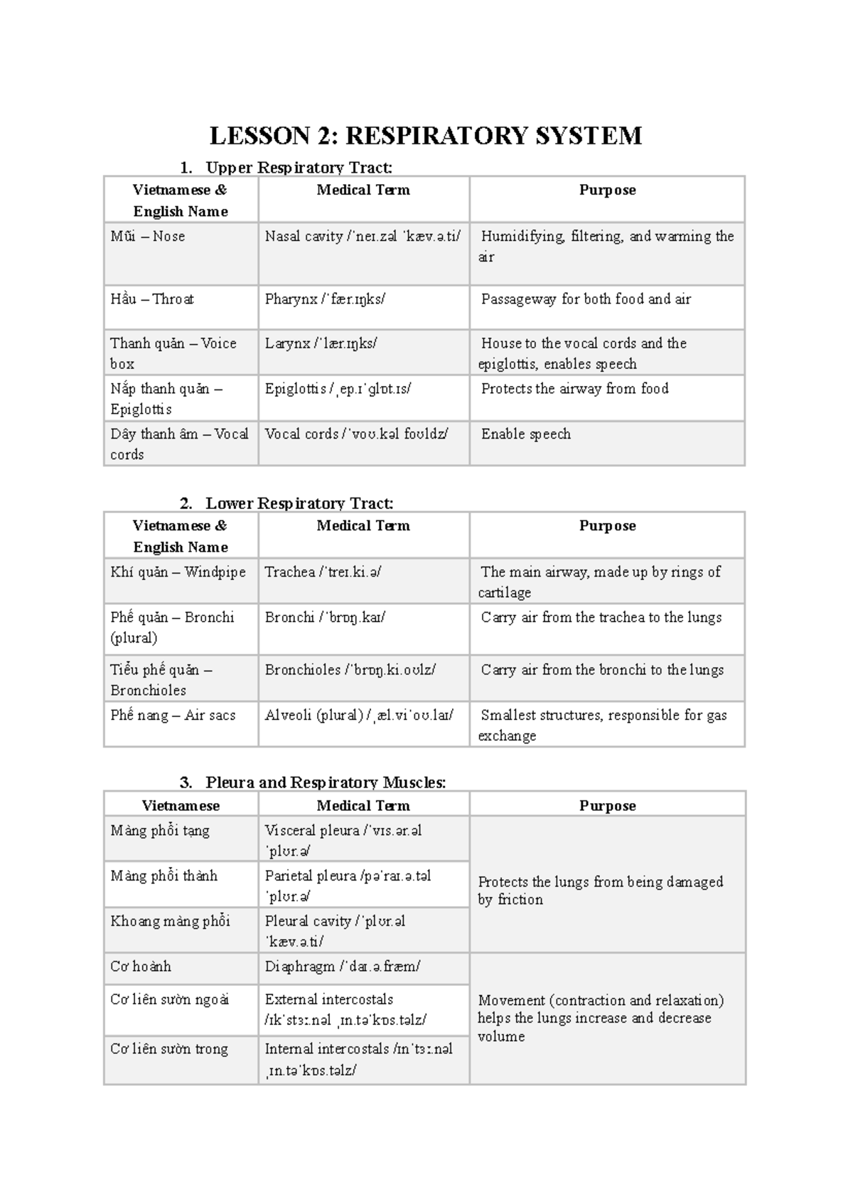 Lesson 2: Respiratory System Overview and Medical Terminology - Studocu