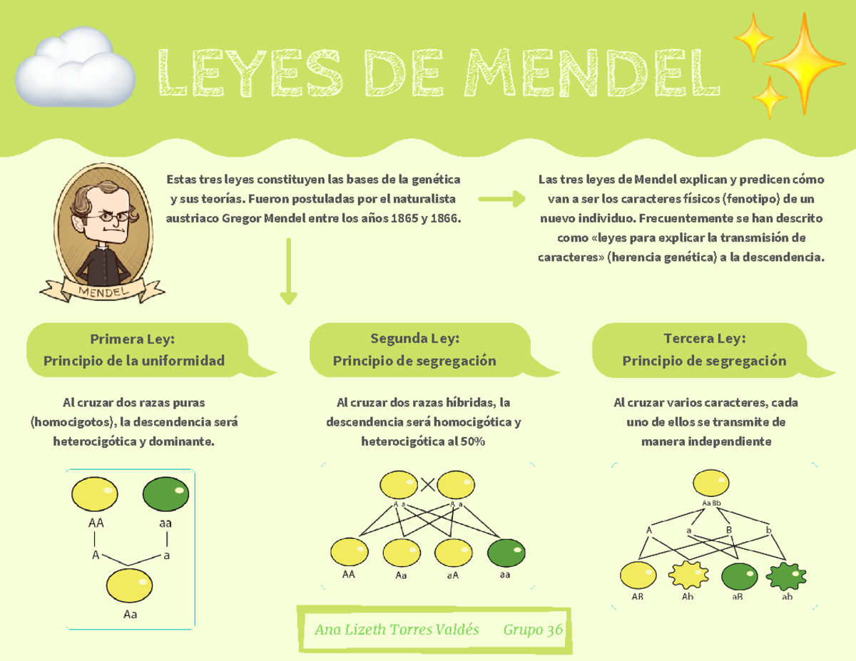 Leyes de Mendel: Fundamentos de Genética y Herencia Genética - Studocu