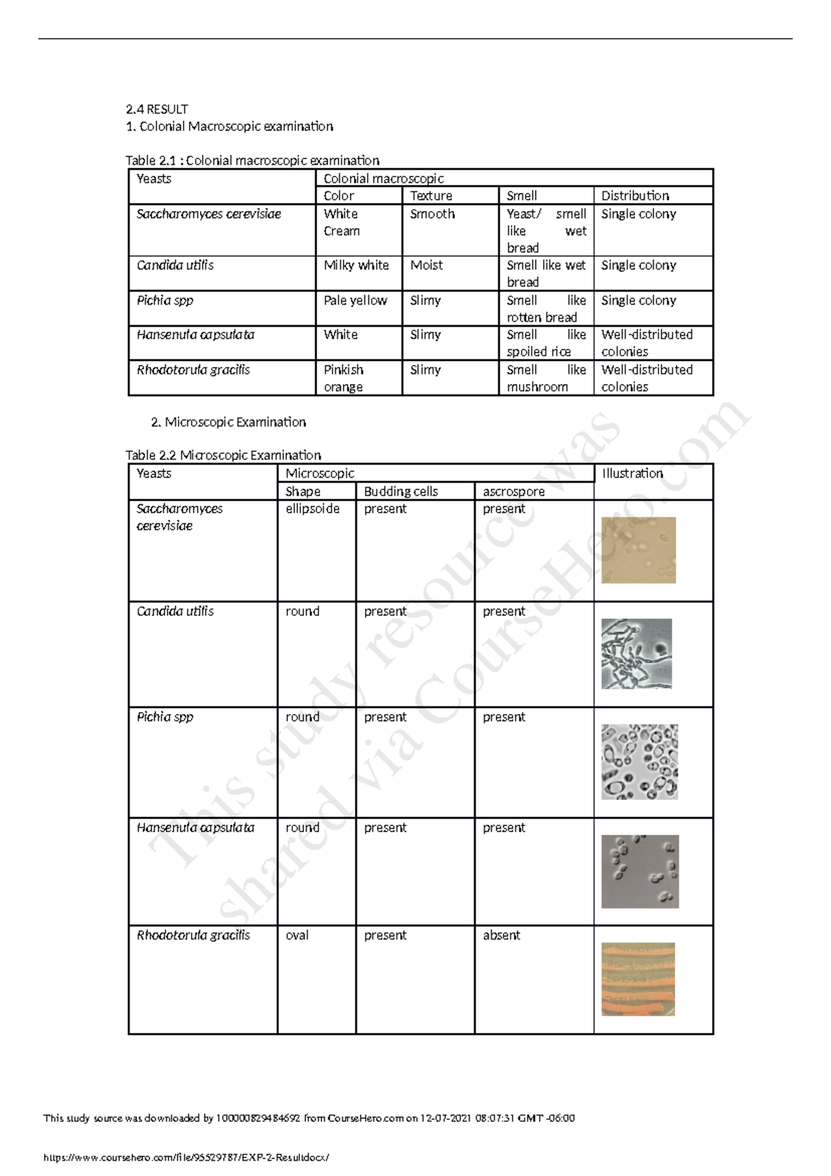 EXP 2 Result for infographics to refer - Food Microbiology - UiTM - Studocu