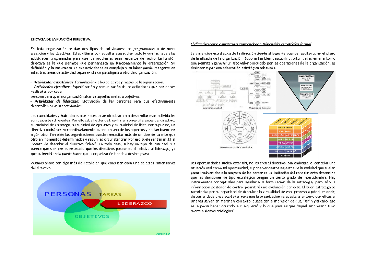 Eficacia de la Función Directiva en Organizaciones: Análisis y ...