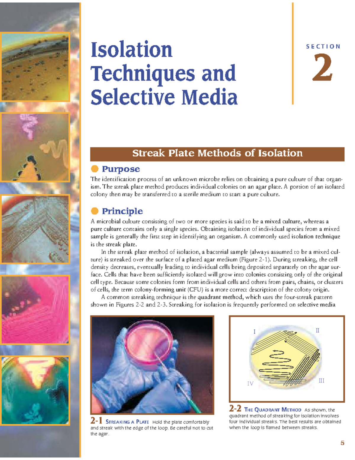 Isolation Techniques and Selective Media: Streak Plate Methods in ...