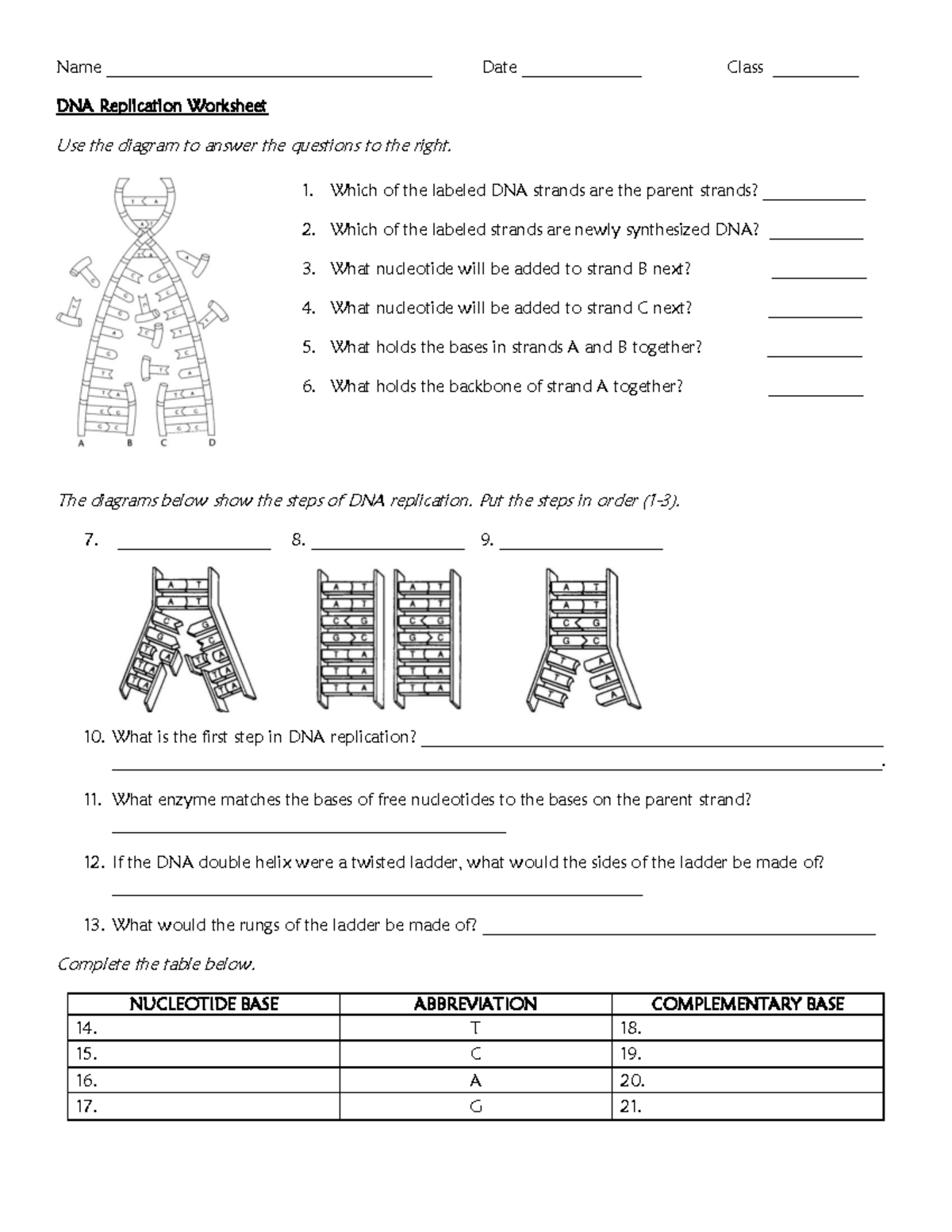 Goff, William - DNA Replication Worksheet 2 (Science 101) - Studocu