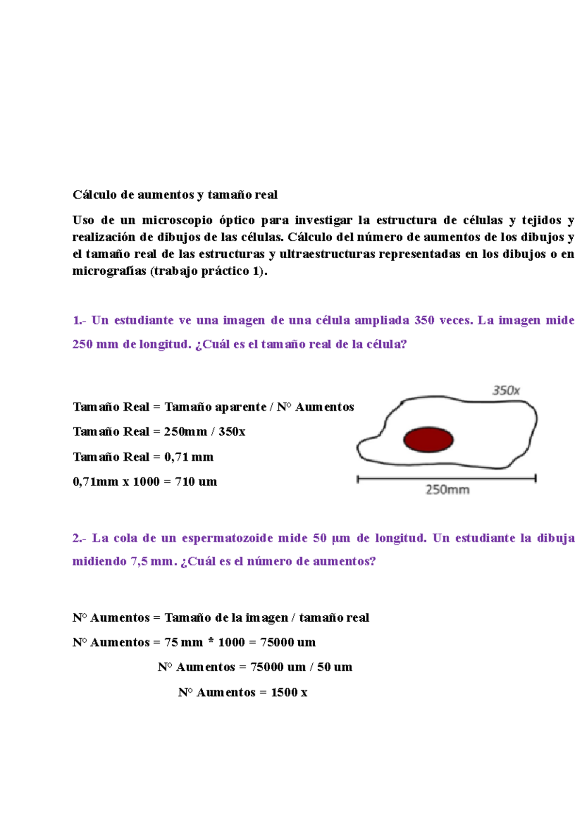Cálculo de Aumentos y Tamaño Real con Microscopio - Taller 1 - Studocu