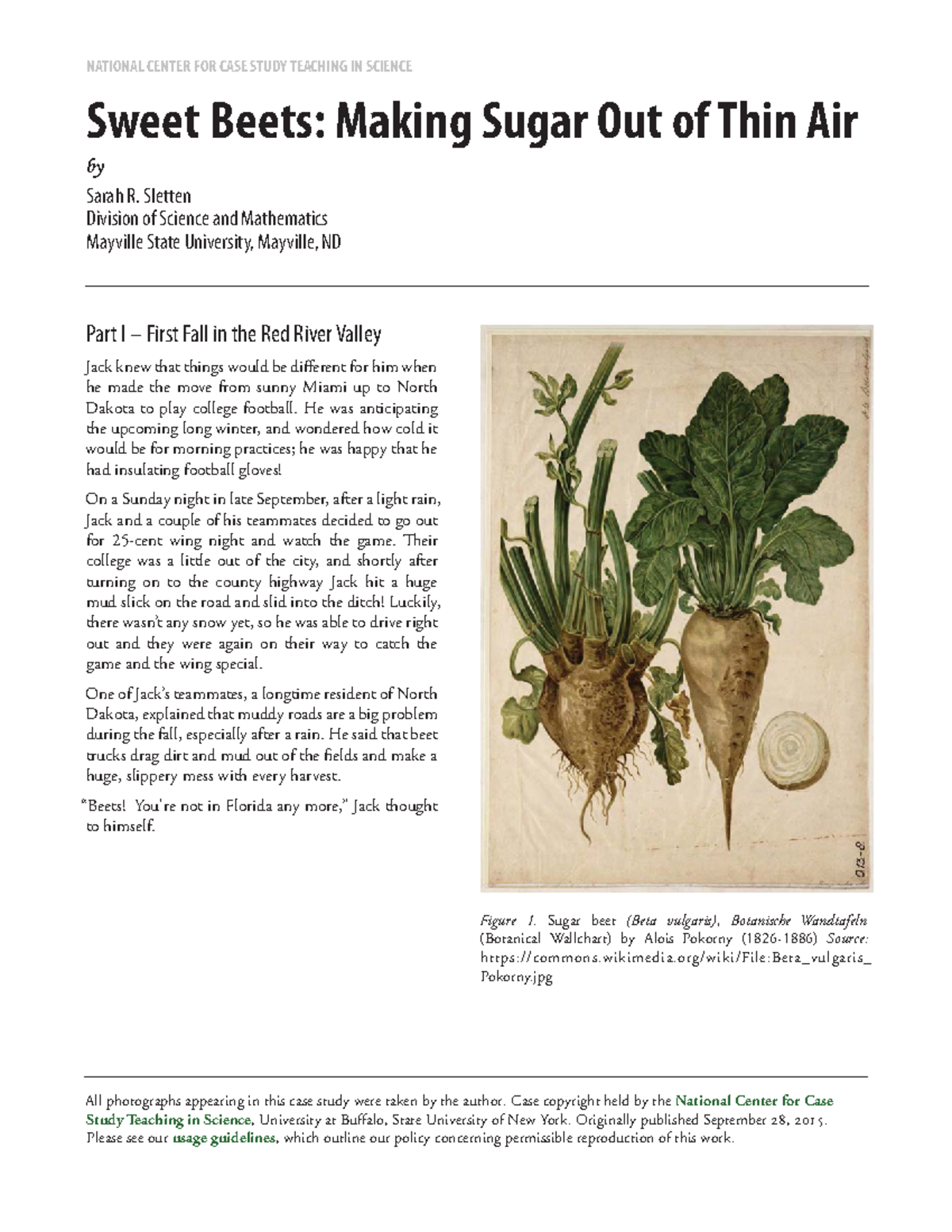 Sweet Beets Case Study - assignments - Sweet Beets: Making Sugar Out of ...