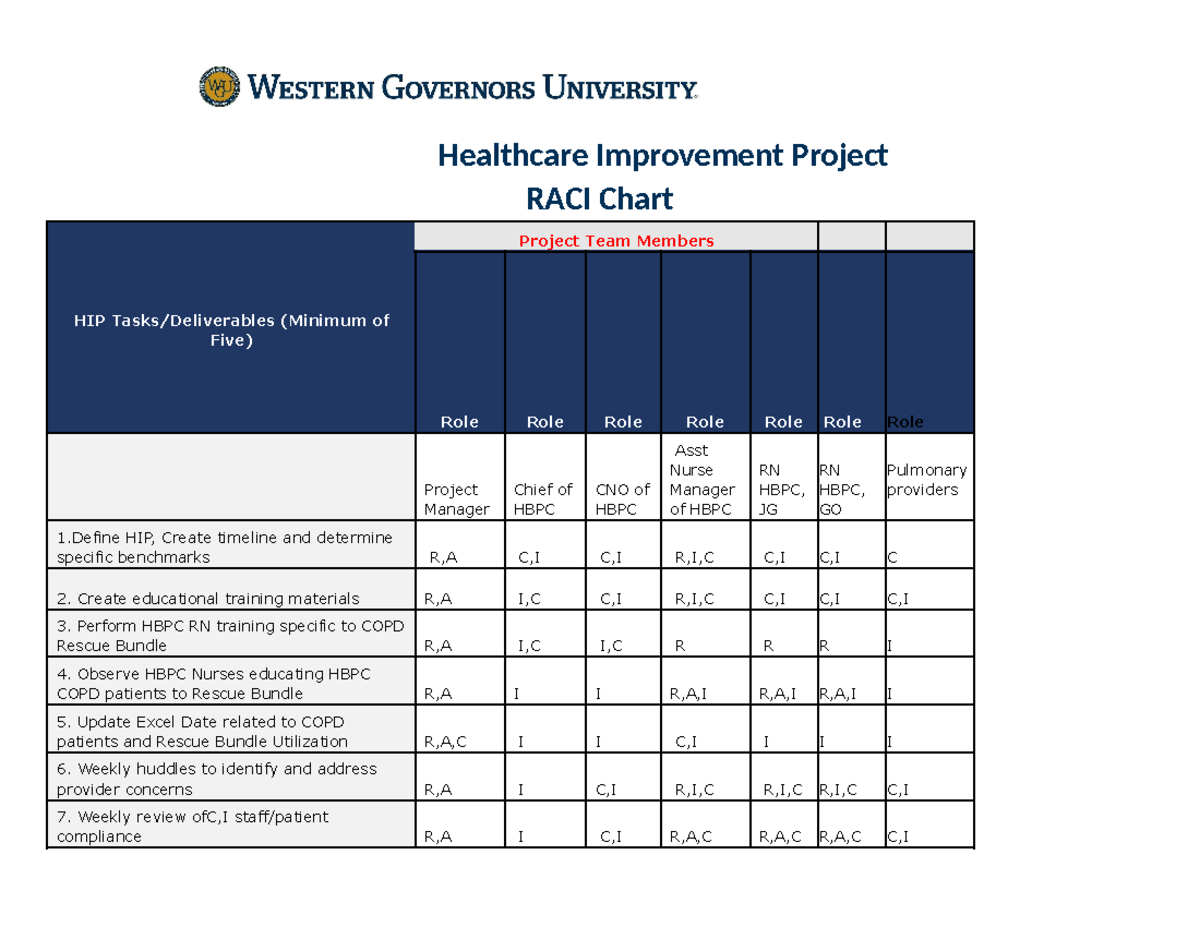 RACI Chart for Healthcare Improvement Project (HIP) Tasks and Roles ...