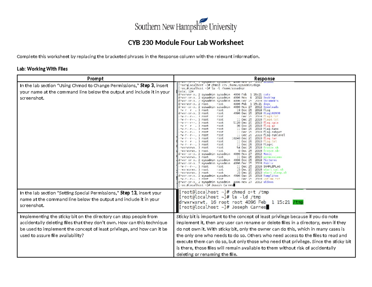 CYB-230-Module 4Lab-Joseph Carnes - CYB 230 Module Four Lab Worksheet ...