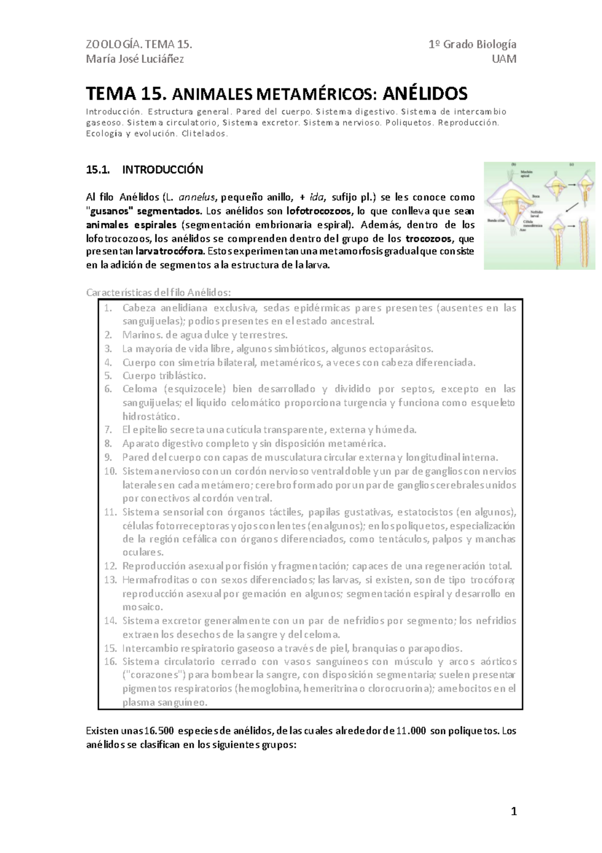 ZOO Ap T15. Estudio sobre Anélidos y su Metamería - Profesor: Arturo ...