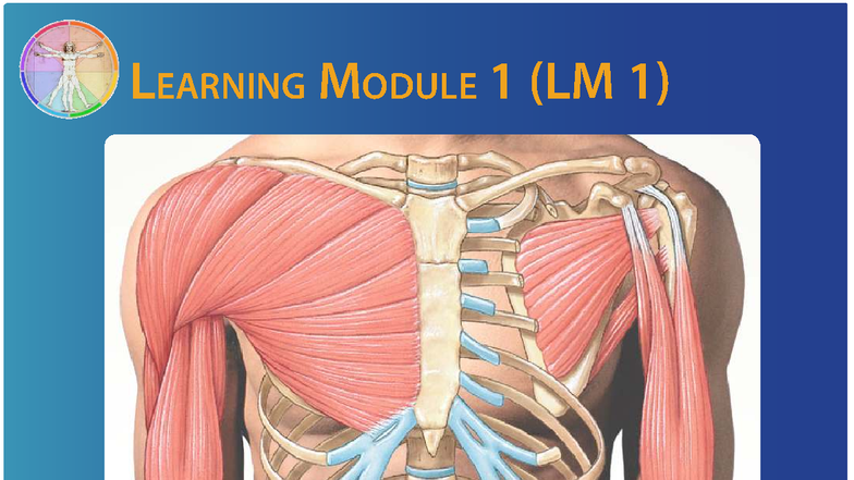 HUBS191 Learning Module 1: Anatomy of Bones and Muscles - Studocu
