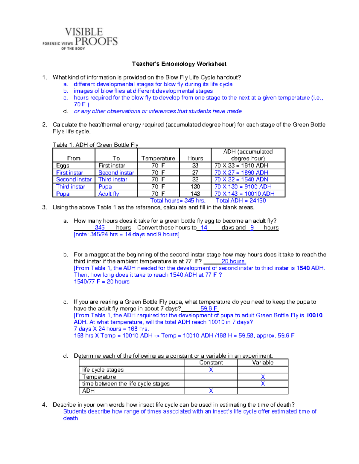 Entomology Worksheet 1: Blow Fly Life Cycle & Development Calculations ...