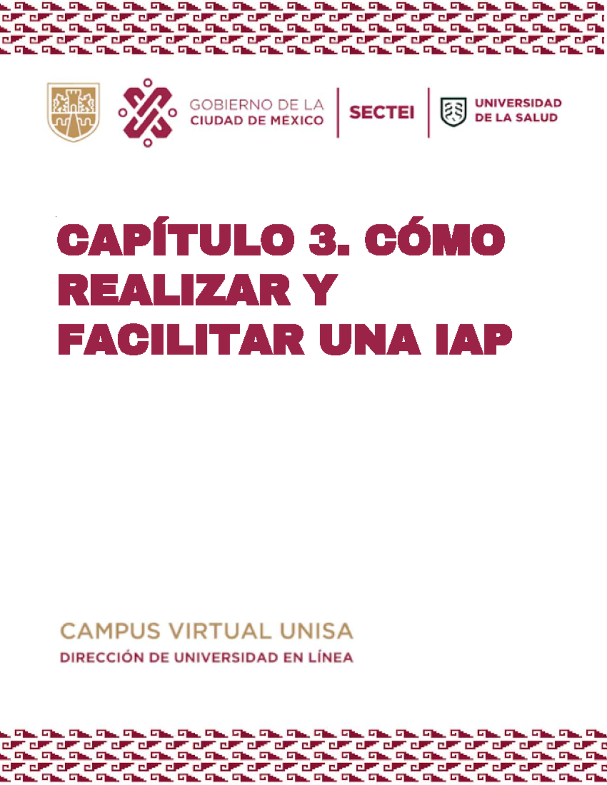 CAPÍTULO 3: GUÍA PARA REALIZAR Y FACILITAR UNA IAP - SMSPy Mpiii-T2-L5 ...
