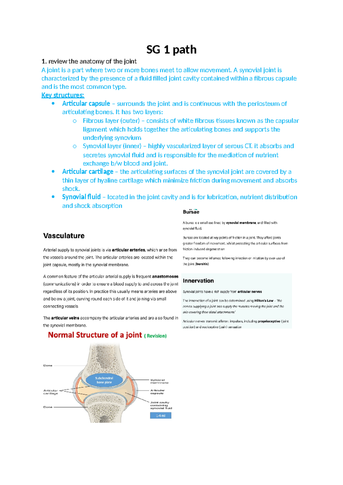 P17 - It's on rheumatoid arthritis - SG 1 path review the anatomy of the joint A joint is a part ...
