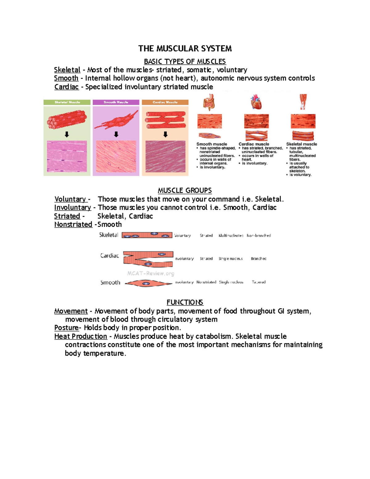 Veterinary Insights: Myopathy, Muscular Dystrophy & Myasthenia Gravis ...