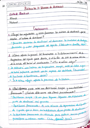 SDS 505390854 MSDS Dieltron 1 - DIELTRON 1 FICHA DE DATOS DE SEGURIDAD ...