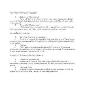 Lecture 10-14-24 Muscle recruitment - Muscle Recruitment Definition ...