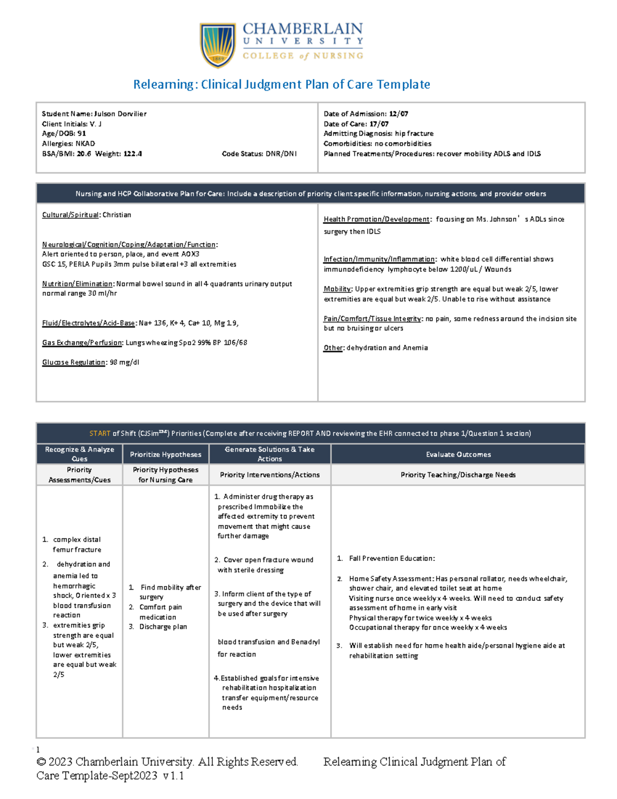 Relearning Clinical Judgment: Care Plan Template - Sept 2023 - Studocu