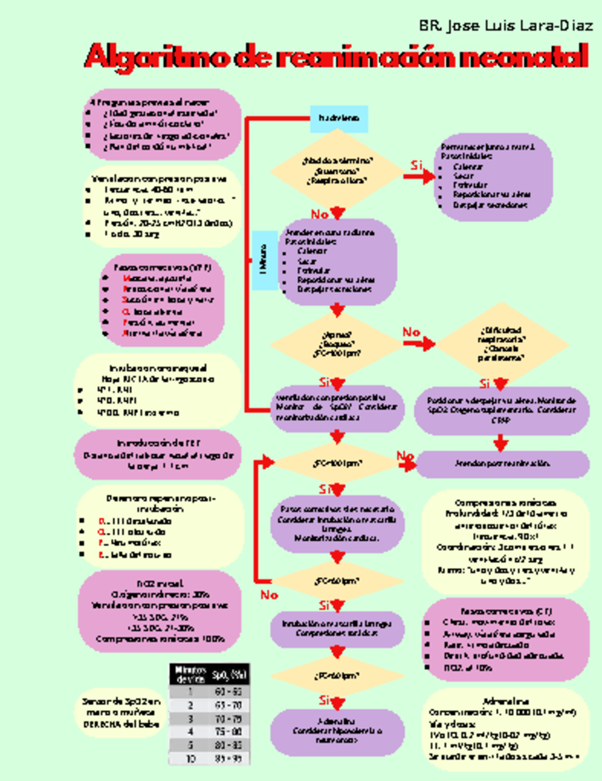 Algoritmo de Reanimación Neonatal - 8ª Edición (Cuidados de Enfermería ...