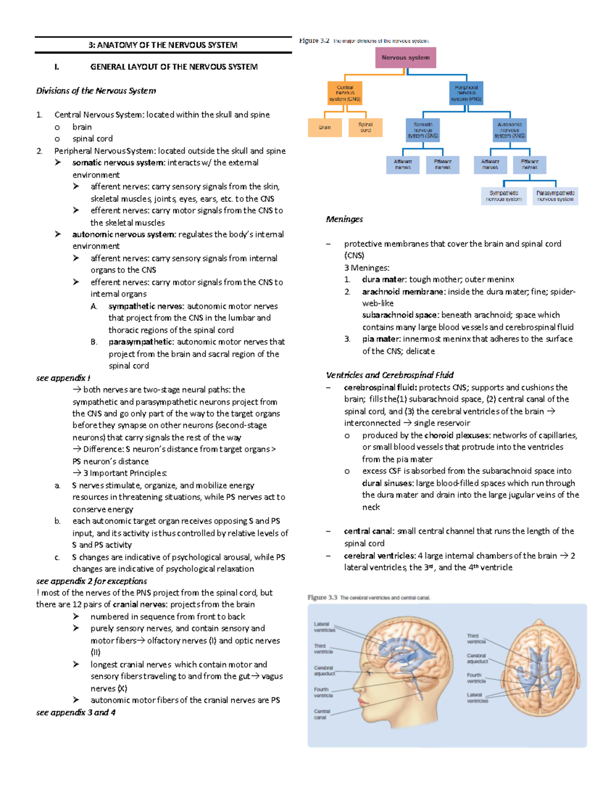 Chapter 3: Brain Anatomy - 3: ANATOMY OF THE NERVOUS SYSTEM I. GENERAL ...