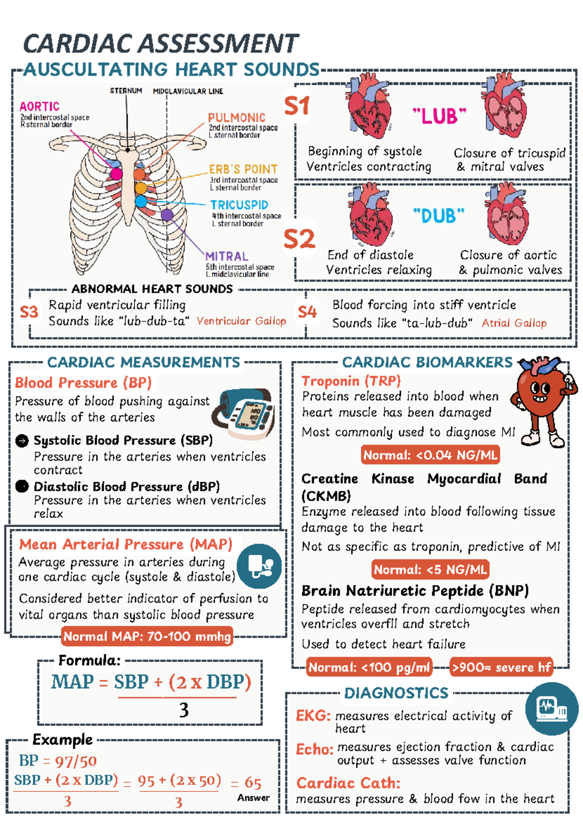 CARDIAC ASSESSMENT & DIAGNOSTICS OVERVIEW (CVD 101) - Studocu