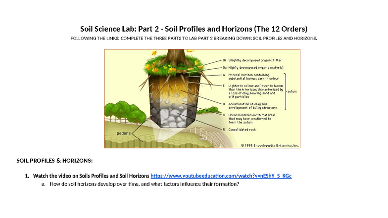 Soil Science Lab (SS101): Soil Profiles & Horizons Analysis - Studocu