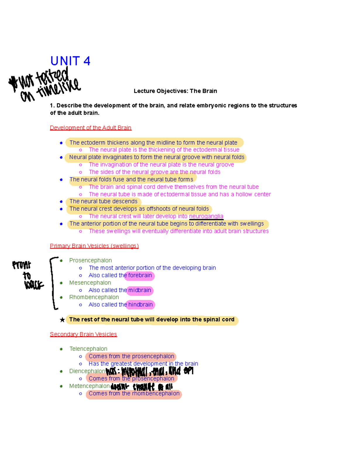 Unit 4 Lecture Notes: Development and Anatomy of the Brain - Studocu