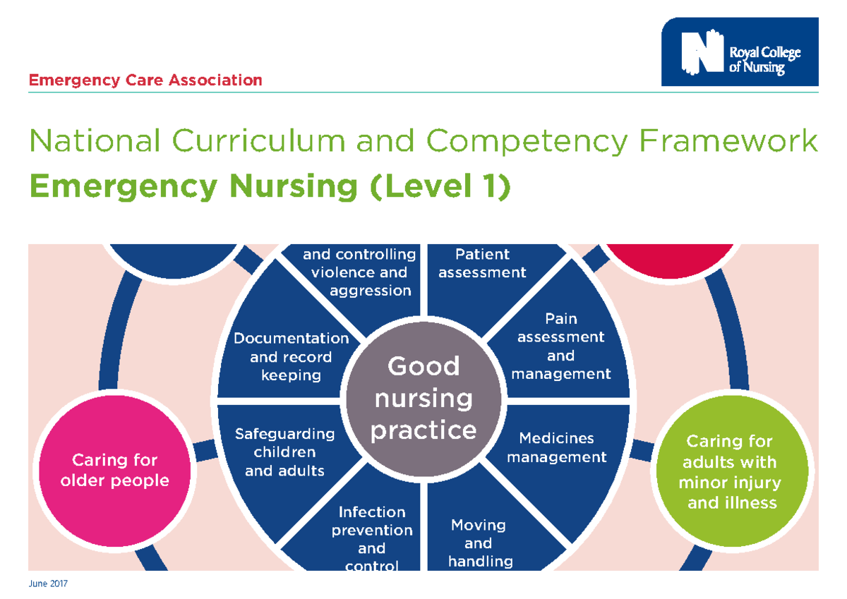 National Curriculum & Competency Framework for Emergency Nursing (Level ...