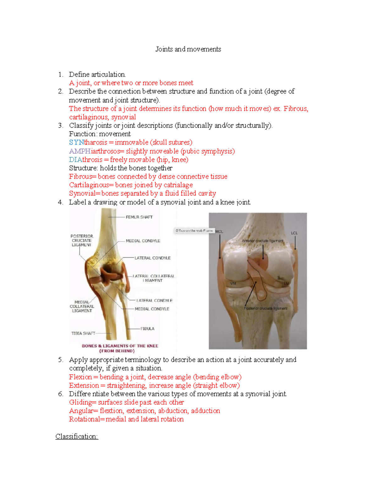Joint Structure and Movements: A Detailed Overview for ANAT 101 - Studocu