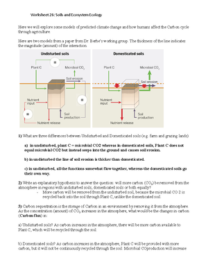 Phylogeny Ch. 20.3, 20 - 20: shared characters are used to construct phylogenetic trees ...