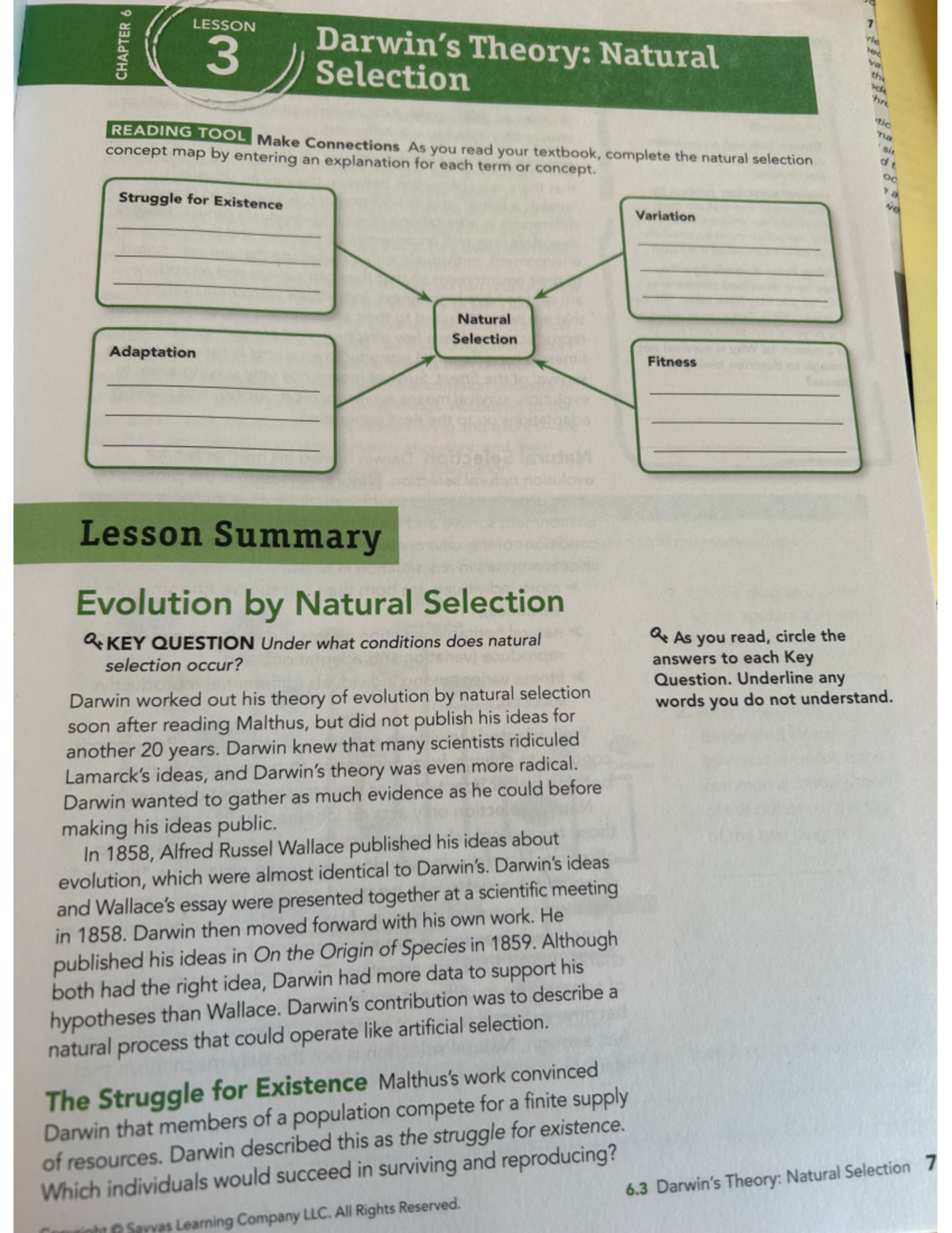 Biology Test 2025 - LESSON 3 Theory: Natural Selection READING TOOL ...