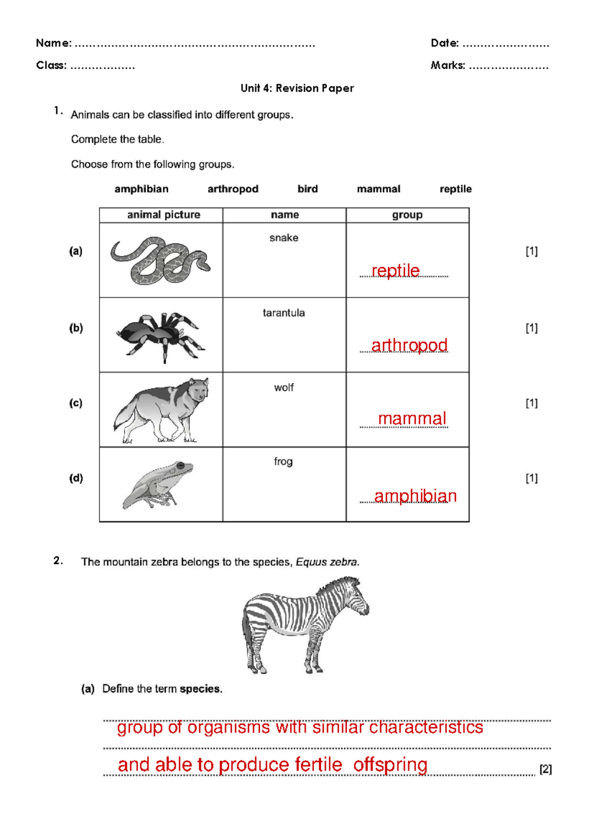 Grade 6 Unit 4 Rev. Paper with Answers - Studocu