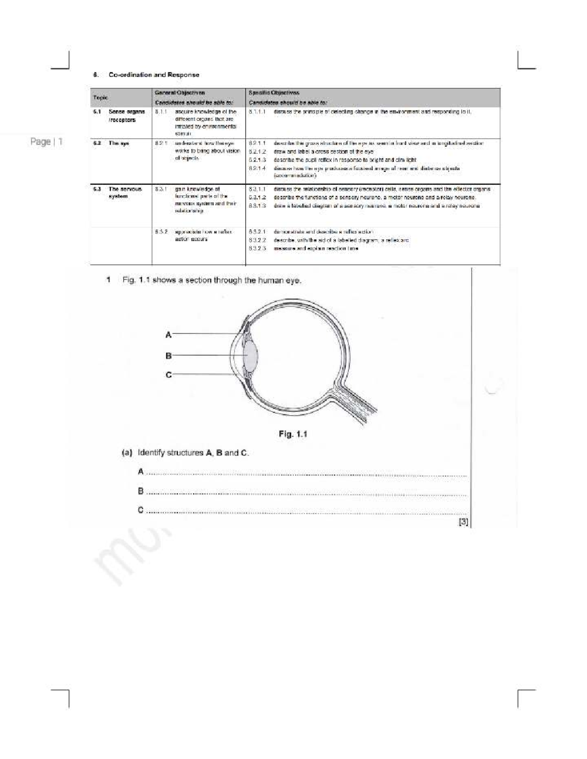 Biology 211: Final Exam Study Notes on Human Eye and Reflex Actions ...