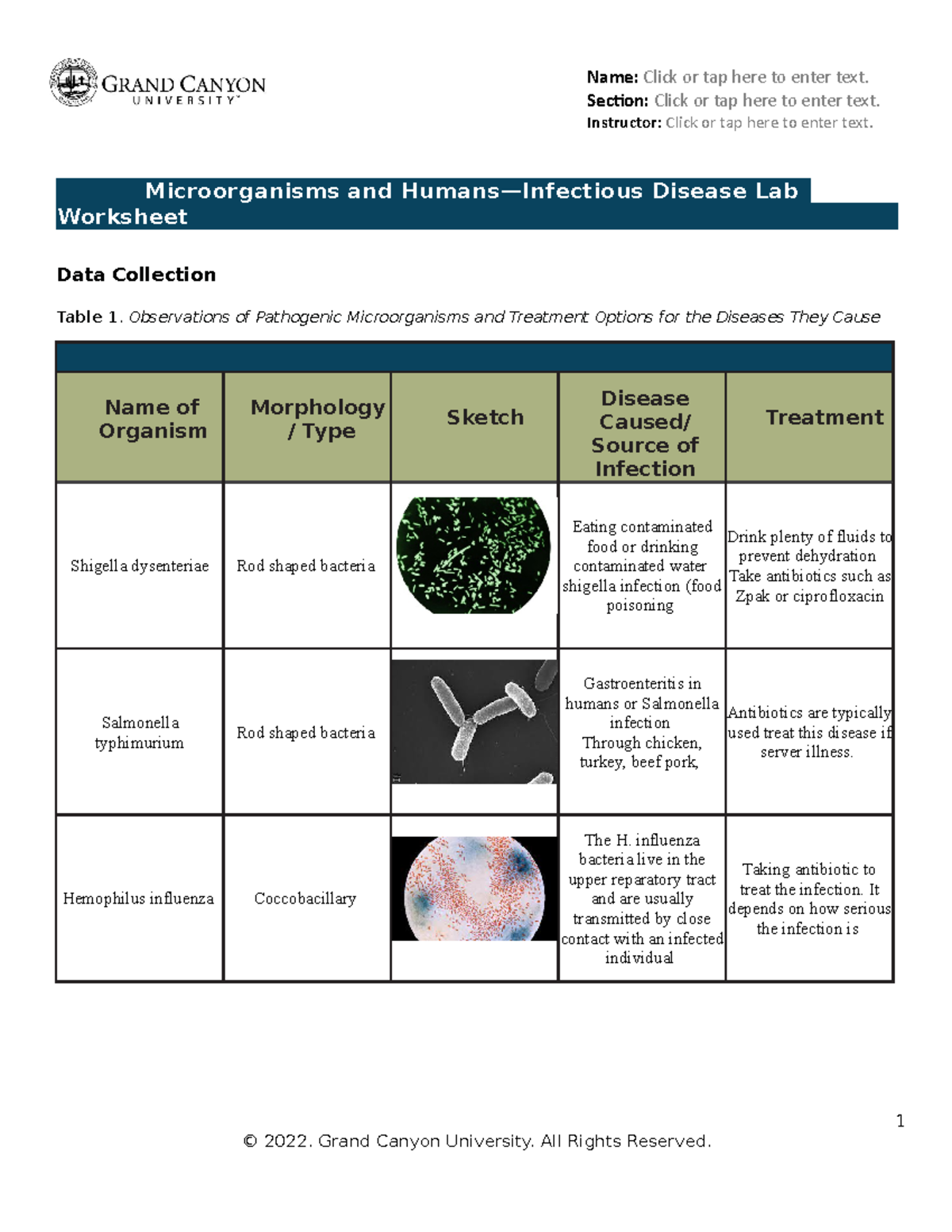 BIO 205L RS T6 - Infectious Disease Lab Worksheet & Review Questions ...