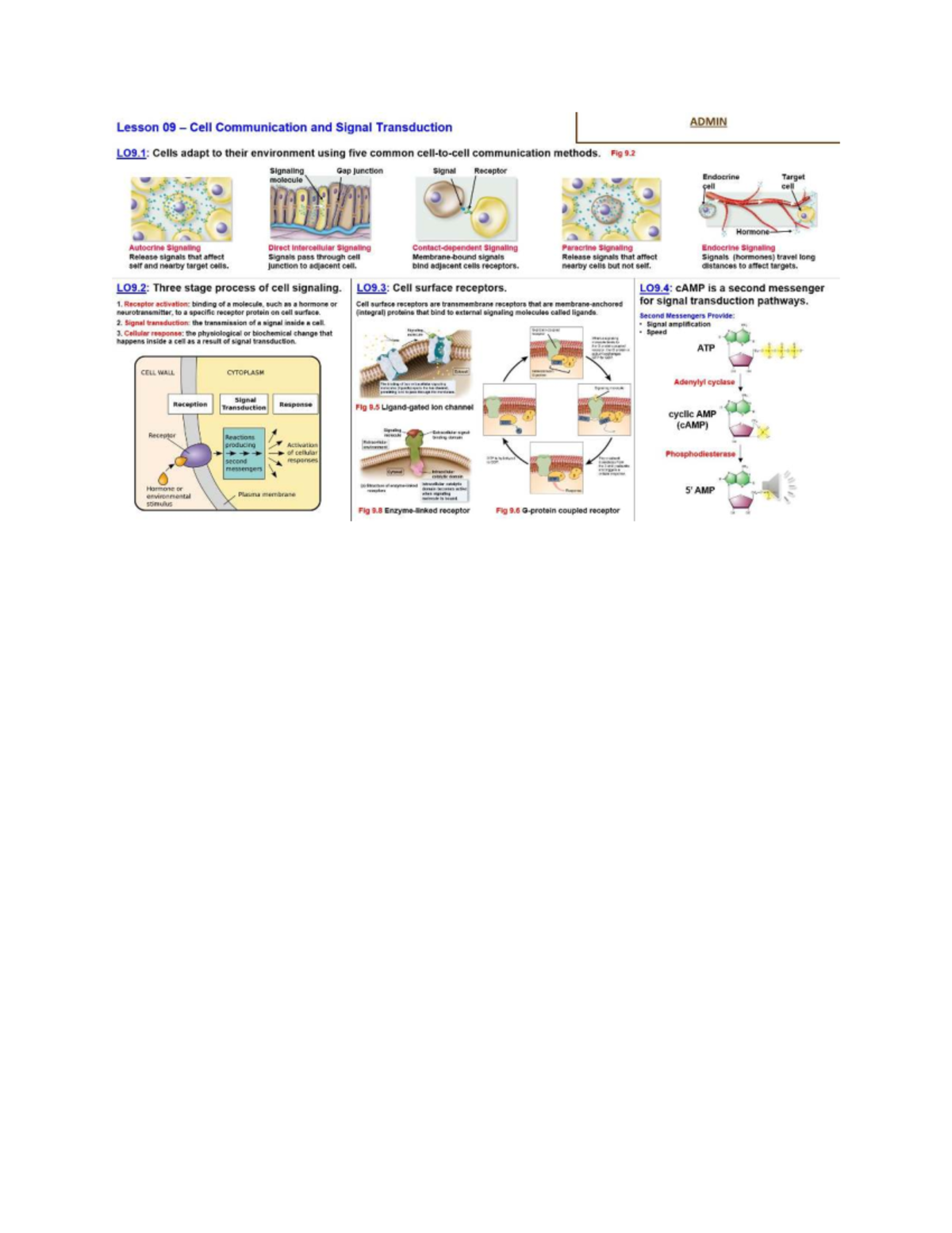 XYZ Final Exam Study Guide: Cell Communication & Signal Transduction ...
