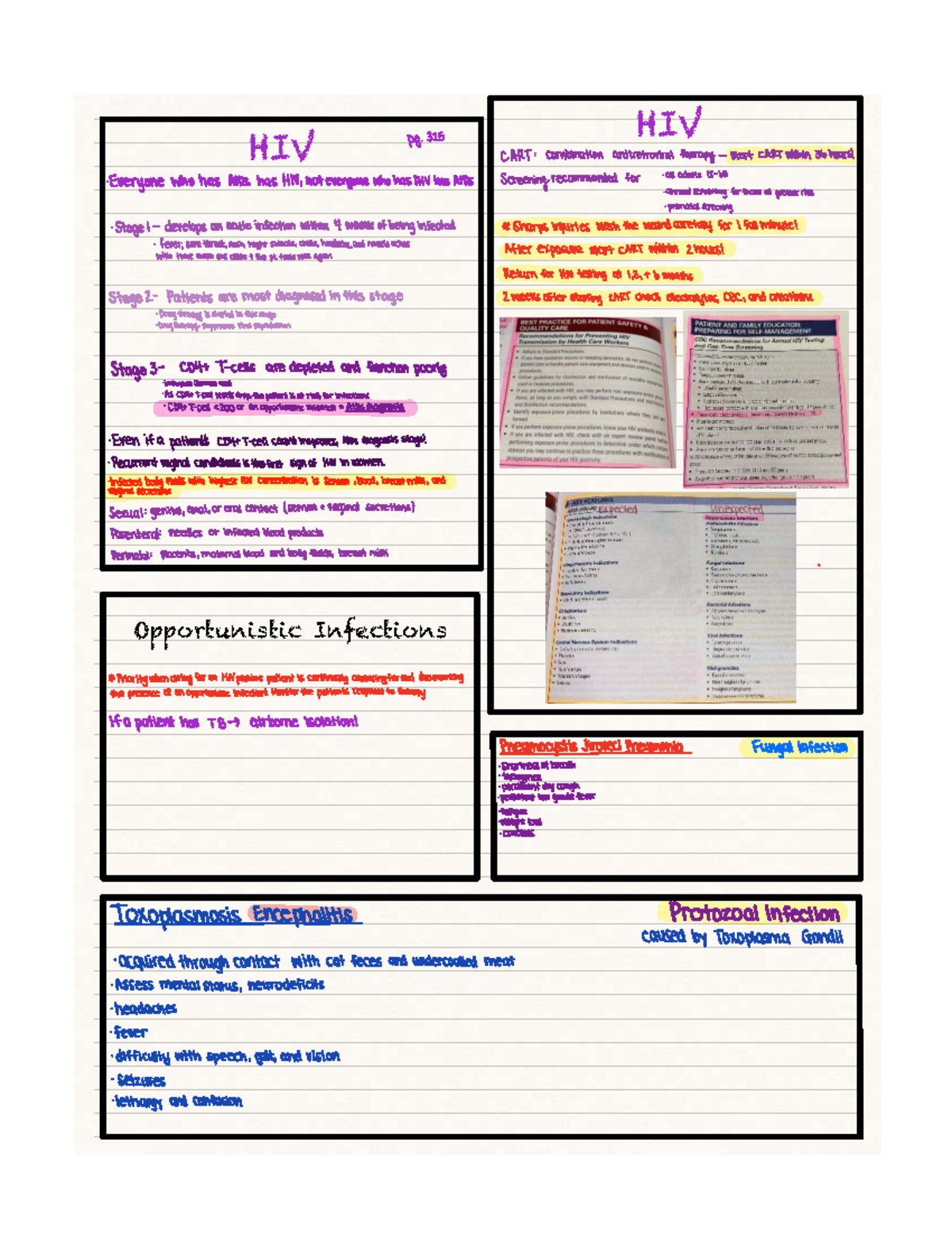 265 Exam 4 - HIV and Cancer Overview Notes - Studocu