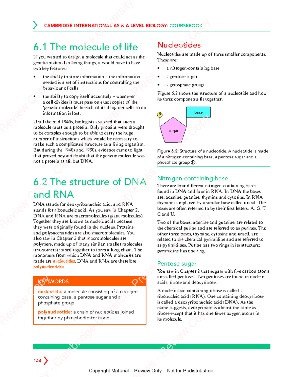 Nucleic Acids & Protein Synthesis: AS & A Level Biology Notes - Studocu