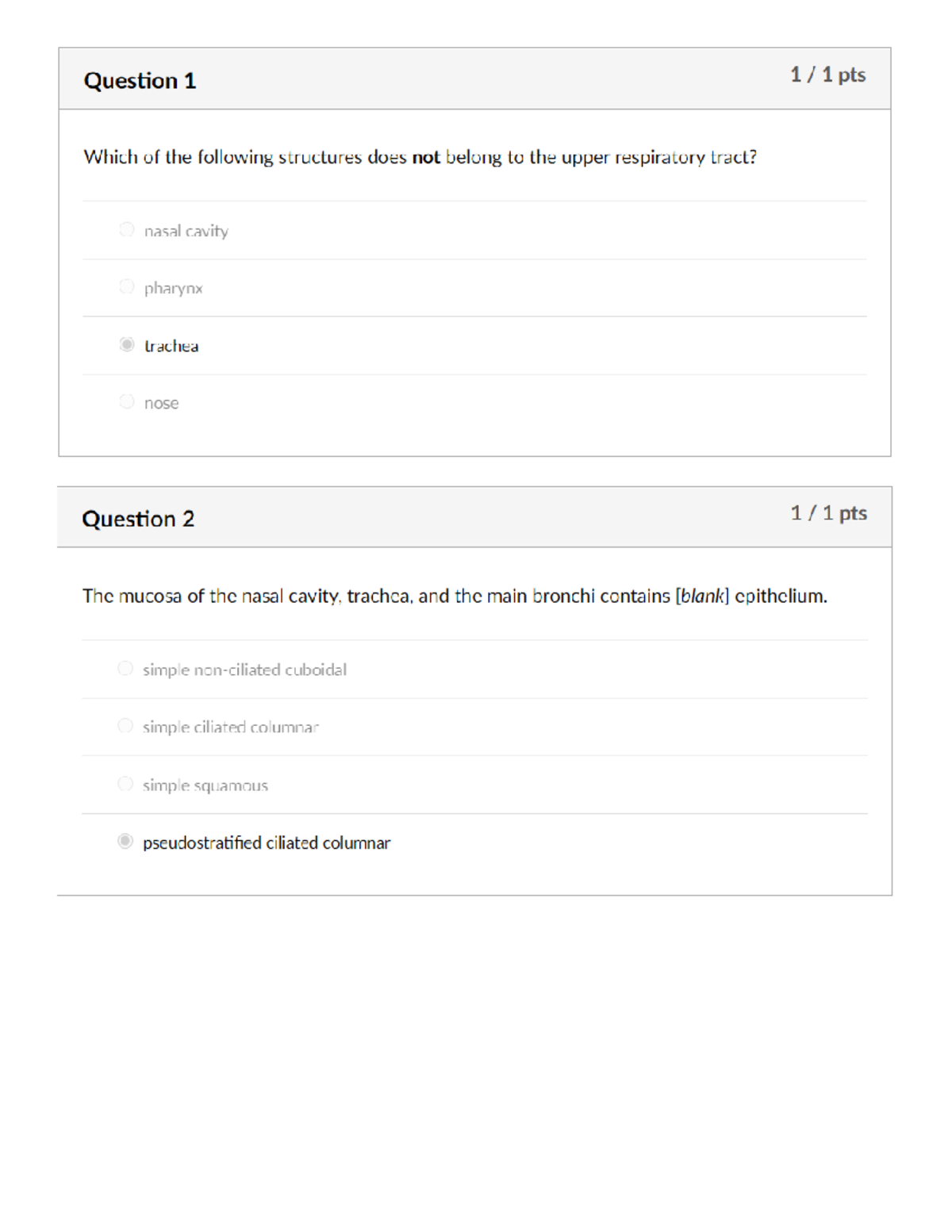 Chapter 23 - Respiratory System - Answer Key Insights - Studocu